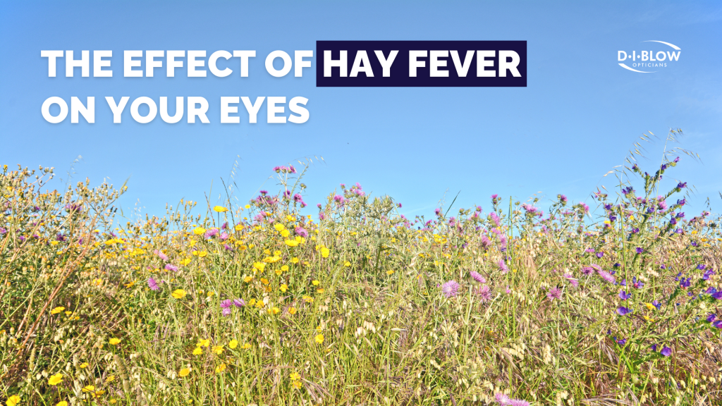 The Effect of Hay Fever on your Eyes - D.I. Blow Opticians